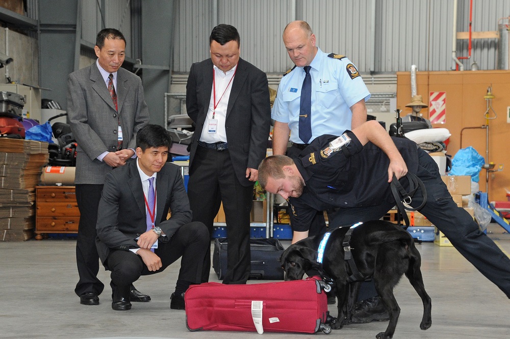 Nz Detector Dogs at Timothy Orear blog